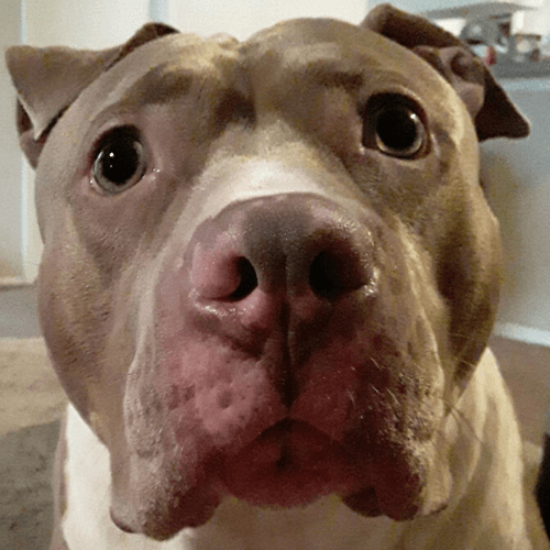 About Us | OnePointe Solutions