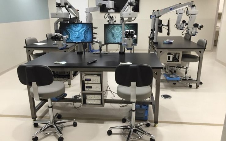 Lab Organization Tips: Streamline Your Workspace - OnePointe Solutions